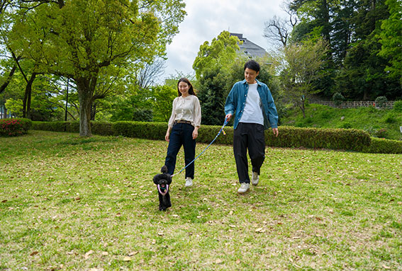 Sightseeing information | [Official] KAMENOI HOTEL OME | Tokyo, Japan